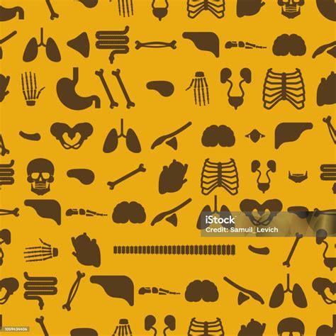 인체 해부학 패턴 완벽 한입니다 골격과 내장 배경 인간의 신체와 장기 장식의 시스템입니다 의료 시스템 텍스처입니다 벡터 일러스트 레이 션 0명에 대한 스톡 벡터 아트 및