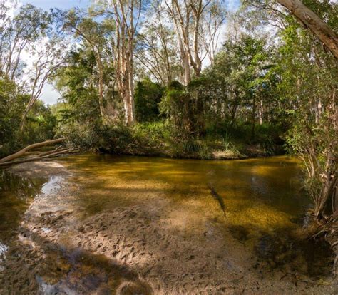 Mary Farms Creek Camp Great Value Creekside Camping