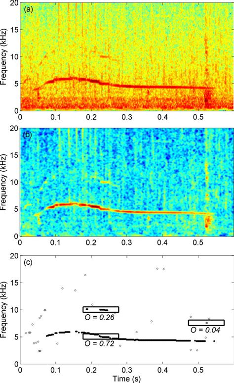 An Automatic Detection Algorithm For Extracting The Representative