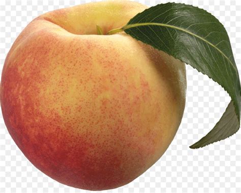 Python Tutorial Object Oriented Programming Networkx Javascript Python Logo Png Download 600