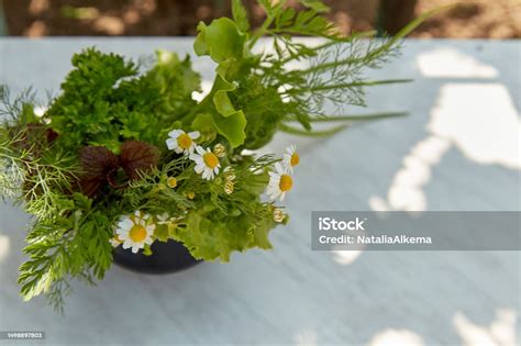 유기농 제철 채소 파슬리 딜 바질 양상추 카모마일 외부 복사 공간 Veganuary에 대한 스톡 사진 및 기타 이미지 Veganuary 건강한 생활방식 건강한 식생활