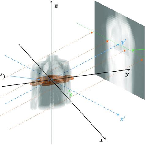 Rotated Coordinate System In Parallel Beam Geometry Download