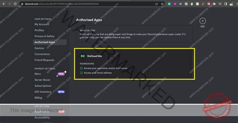 Why Does My Discord Bot Go Offline