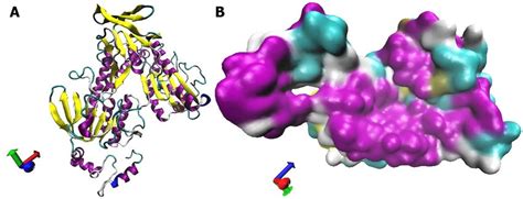 Three Dimensional Structure Of Thioredoxin Reductase Of Babesia Microti