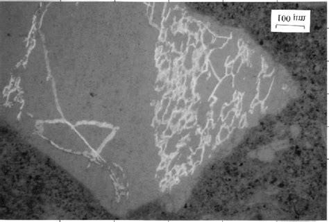 Thin Section Micrograph Showing Dissolution Structures In Subgrained Download Scientific