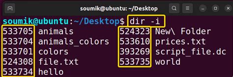 The Dir” Command In Linux 15 Practical Use Cases Linuxsimply
