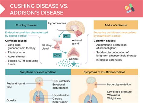 Addison Disease