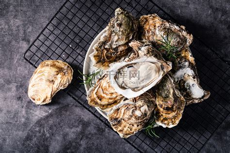 美食四季生蚝桌面刺身摄影图配图高清摄影大图 千库网