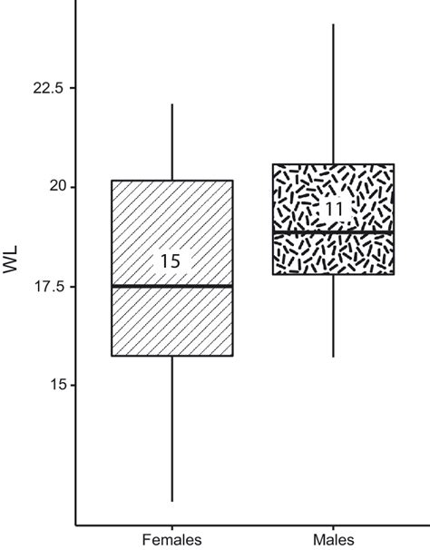 Boxplot Comparing Wing Loading Values Wl Between Sexes In Sampled