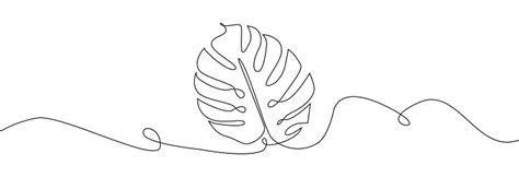 몬스테라 리프 라인 아트 열대 잎 한 줄 그리기 열대 몬스테라 잎의 연속 선 그리기 단 하나 1개의 선 잎 몬스테라 개요 스케치