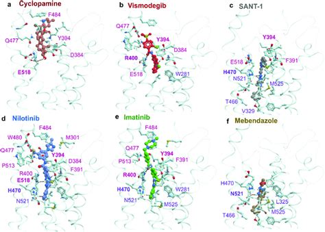 Crystallographic Or Predicted Binding Poses Of Selected Smo Ligands
