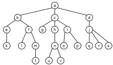 Solved Q1 Based On The Tree Diagram In The Data Chegg Com
