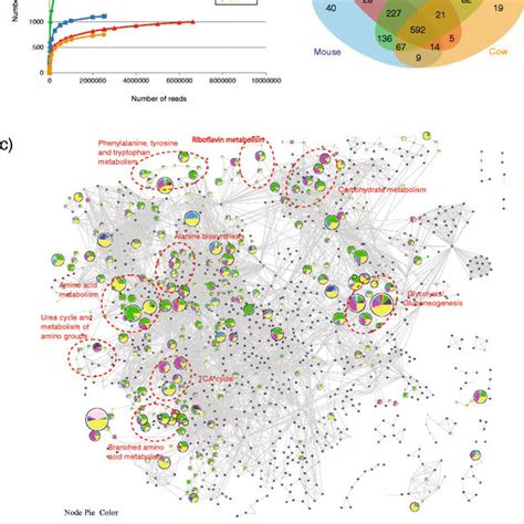 Metabolic Composition Of Five Metatranscriptomic Datasets A Download Scientific Diagram