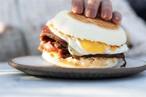 Lazy Cat Finds A Purrfect Spot In Al Khobar Fact Abu Dhabi