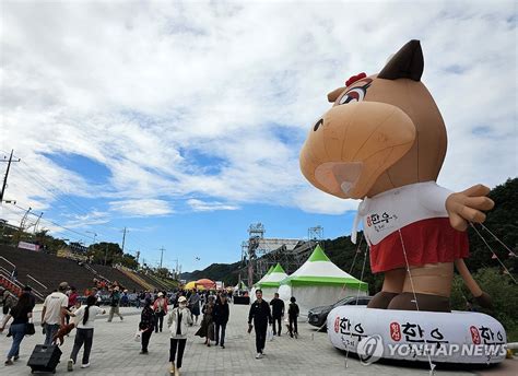 횡성한우축제 이틀째…방문객으로 북적 연합뉴스