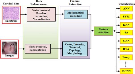 Cervical Cancer Classification Using Soft Computing Techniques