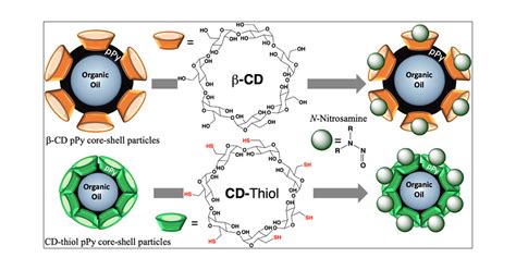 Cyclodextrin Functionalized Polypyrrole Particles For The Extraction Of Aromatics From Water