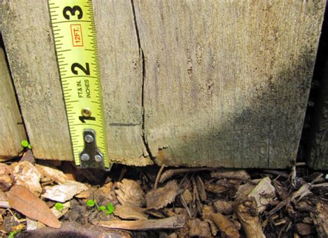 How To Build A Simple Lattice Trellis For Climbing Plants