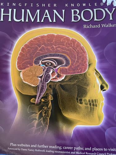 Human Body By Richard Walker Kingfisher Tew Used