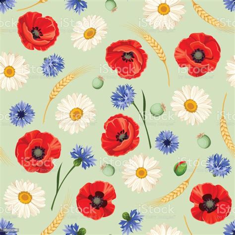 양 귀 비 데이지 옥수수 꽃과 완벽 한 패턴입니다 벡터 일러스트입니다 들에 대한 스톡 벡터 아트 및 기타 이미지 들 이어 오브 윗 0명 Istock