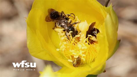 inside wfsu june 5 2025 at 8 pm et inside wfsu a live look