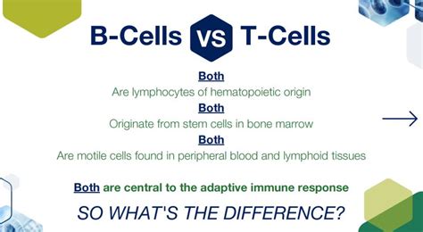 Laboratory Business Unit On Linkedin Enzo Life Sciences Inc On