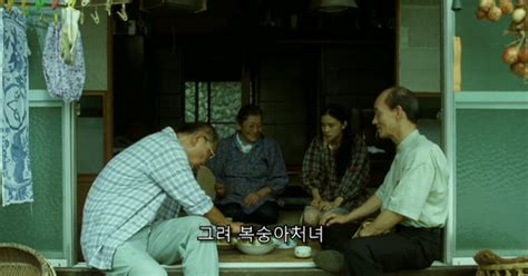 시골에 정착한 처자가 겪는 시골인심 유머 움짤 이슈 에펨코리아