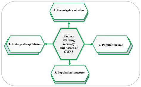 Advancements And Prospects Of Genome Wide Association Studies Gwas In