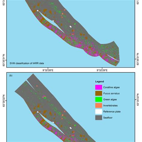 Results Of The Support Vector Machine Svm Classifications Of Internal Download Scientific