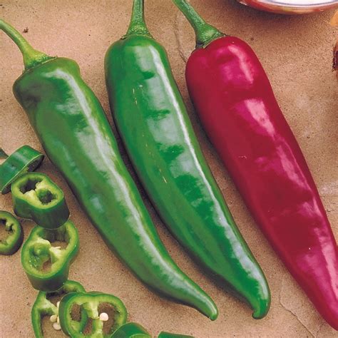 Garden Salsa Pepper Seeds Joyful Seeds