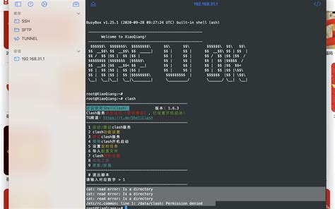 Bug 无法启动clash服务相关问题 · Issue 300 · Juewuyshellcrash · Github