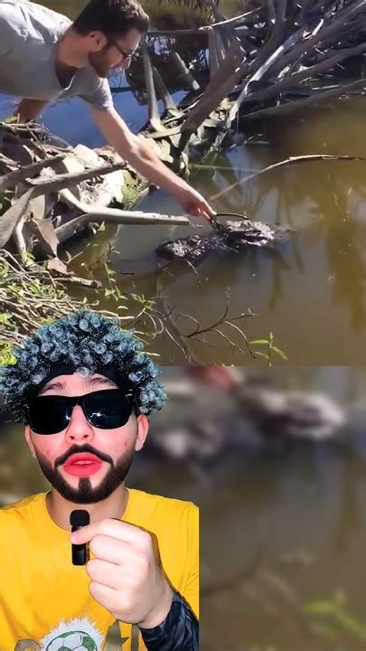 Cocodrilo 🐊 Shorts2025 Youtube