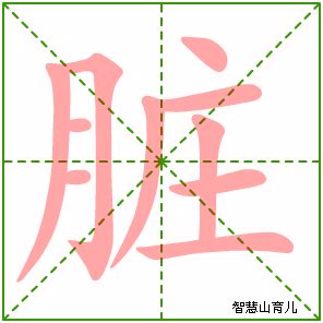 脏的笔顺 笔画数10 拼音zàng zāng 部首月 智慧山