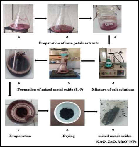 Steps Involved For The Synthesis Of Mixed Metal Oxide Cuo Zno Mno Nps Download Scientific