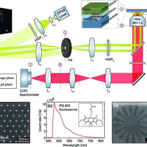 Pdf Double Moiré Localized Plasmon Structured Illumination Microscopy