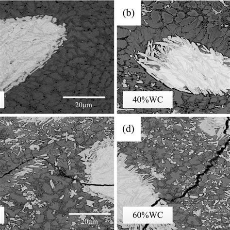 Surface Microstructure Of Samples A D 30 60 Wc Coatings Download