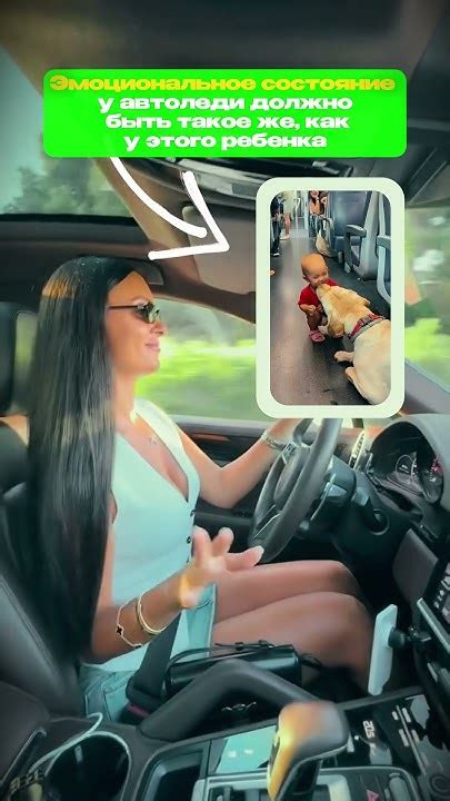 Согласны с этим тезисом 🚘🤔 вождениум Automobile автошкола уроки малыш собака авто