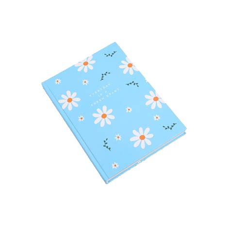 Numic Graph Notebook Scooboo