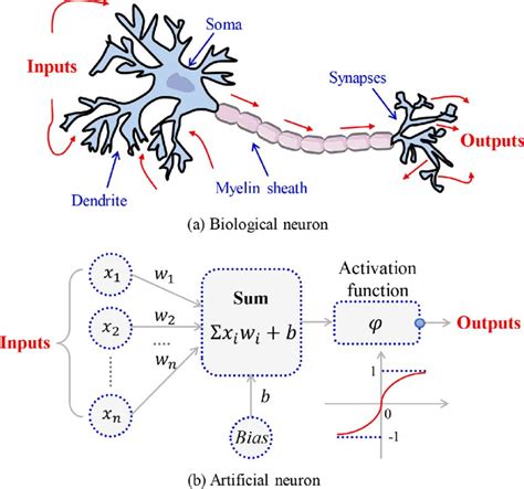 Day 47 Of 100daysofmlchallenge Perceptrons And Neural Networks