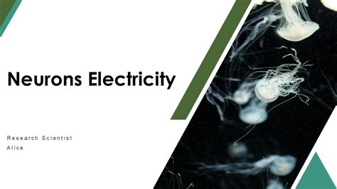 Neurons Electricity Ppt Template Acp Ppt Sample