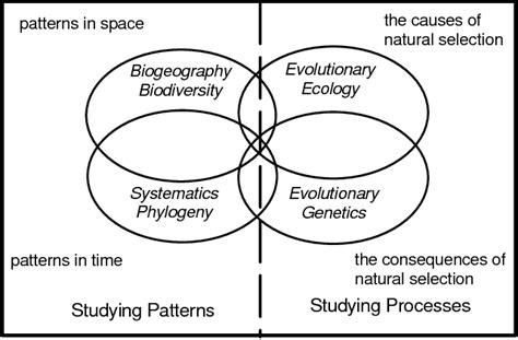 Figure 1 From What Do Evolutionary Biologists Do Semantic Scholar