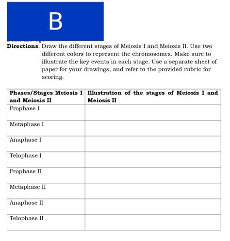 Directions Draw The Different Stages Of StudyX