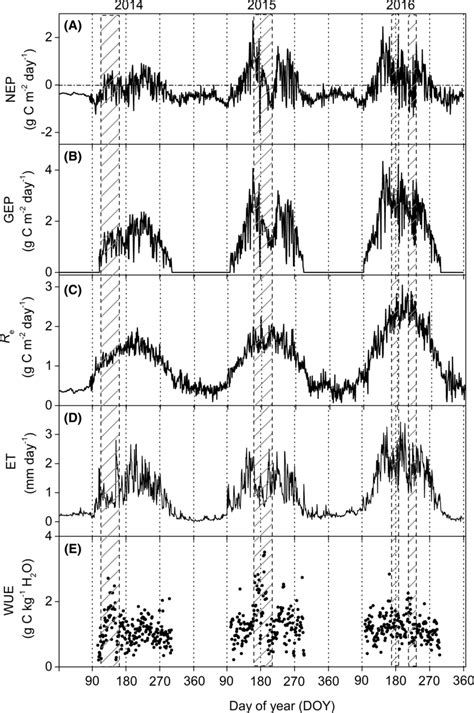 Seasonal Variations In Daily A Net Ecosystem Production Nep B Gross
