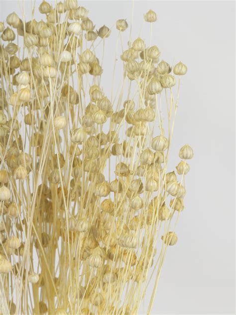 Льон вибілений купити за ціною 179 грн • Dfb Elements Україна