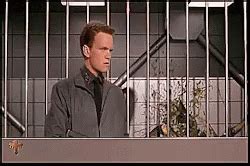 Starship Troopers S