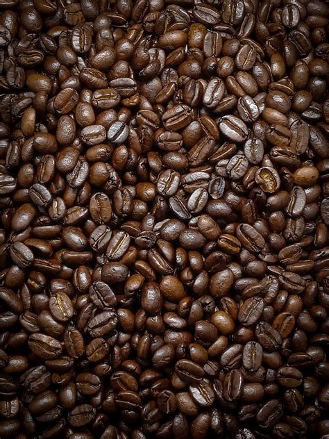커피 콩 블랙 Pixabay의 무료 사진 Pixabay