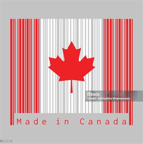 바코드는 수직 Triband 빨강과 흰색 빨강 단풍 잎의 캐나다 국기의 색을 설정합니다 개념에 대한 스톡 벡터 아트 및 기타 이미지 개념 개념과 주제 기 Istock