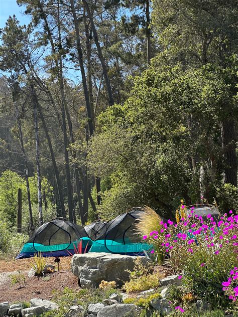 Veterans Memorial Park Hipcamp In Monterey California