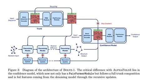 Mit Researchers Propose Boltz 1 The First Open Source Ai Model Achieving Alphafold3 Level