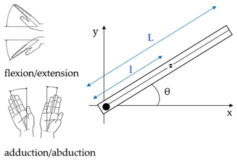 A Review Of Wrist Rehabilitation Robots And Highlights Needed For New